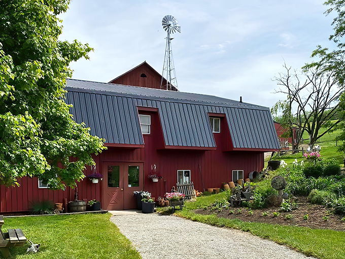 The classic red barn with its metal roof and windmill stands as a timeless sentinel of rural simplicity. No algorithm designed this beauty&mdash;just generations of practical wisdom.