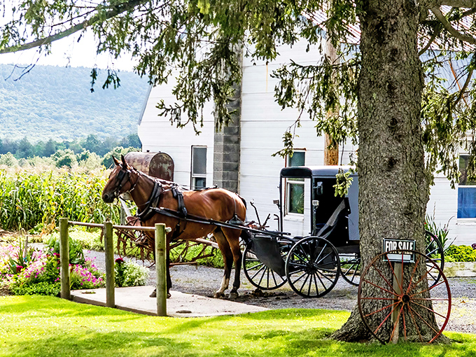 Where horsepower has nothing to do with engines. This Amish buggy patiently waits while its owner probably accomplishes more in a day than I do with all my "time-saving" gadgets.