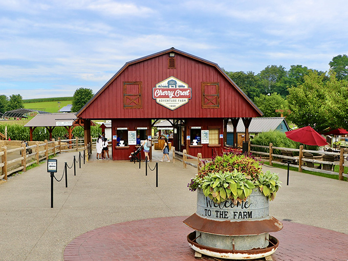 The iconic red barn welcomes visitors like a warm hug from your favorite aunt. Cherry Crest's entrance promises adventures that'll make your inner child do cartwheels.