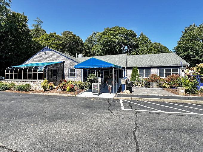 This blue-and-white Cape Cod classic beckons with cheerful awnings and blooming hydrangeas. Seafood Sam&rsquo;s isn&rsquo;t trying to be fancy&mdash;it&rsquo;s trying to be fantastic.