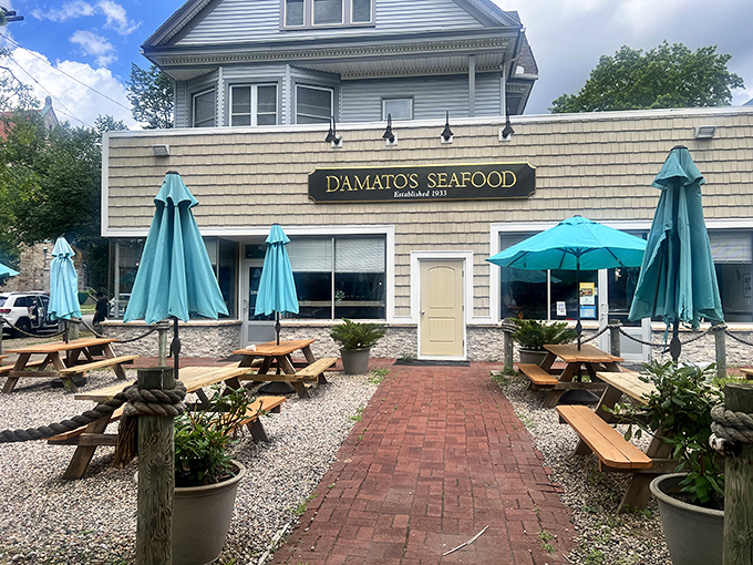 The seaside charm of D&rsquo;Amato&rsquo;s Seafood shines through its cedar shakes and teal umbrellas&mdash;a true New England gem serving ocean-fresh comfort in plain sight.