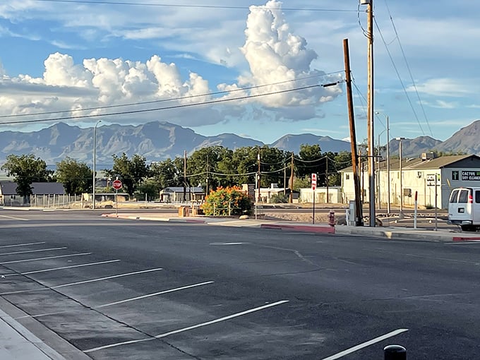Those towering thunderheads over Mount Graham aren't just for show—they deliver the dramatic monsoon rains that keep Safford's desert surprisingly lush.