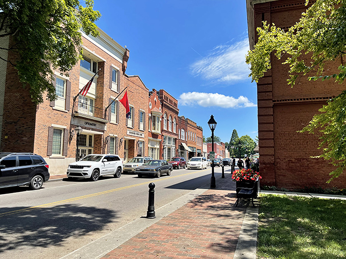 Main Street Rogersville whispers stories from 1775 while somehow managing to look both perfectly preserved and vibrantly alive.