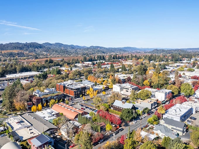 Vineyard dreams come true where golden rows meet rolling hills. That vintage Land Rover isn't just transportation&mdash;it's a time machine to simpler pleasures. 