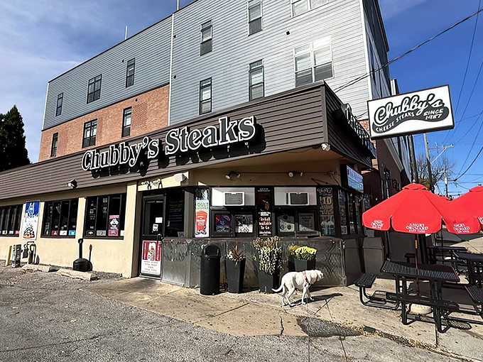 That distinctive storefront sign isn't just marking a spot&mdash;it's basically announcing where happiness lives on Ridge Avenue.