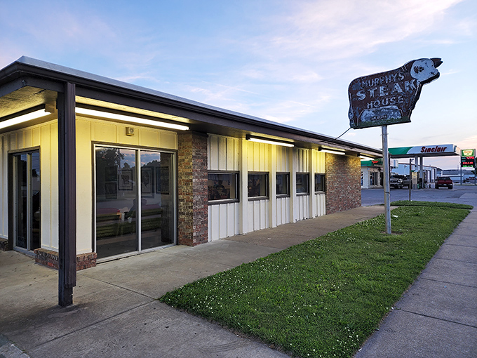 The iconic cow sign stands sentinel outside Murphy's, a beacon of hope for the hungry and a landmark that's been guiding Oklahomans to comfort food nirvana for generations.