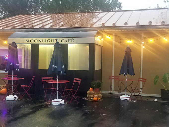 As evening approaches, string lights transform this humble eatery into a truly aptly-named "Moonlight" experience, where Italian comfort awaits beyond that glowing "OPEN" sign.