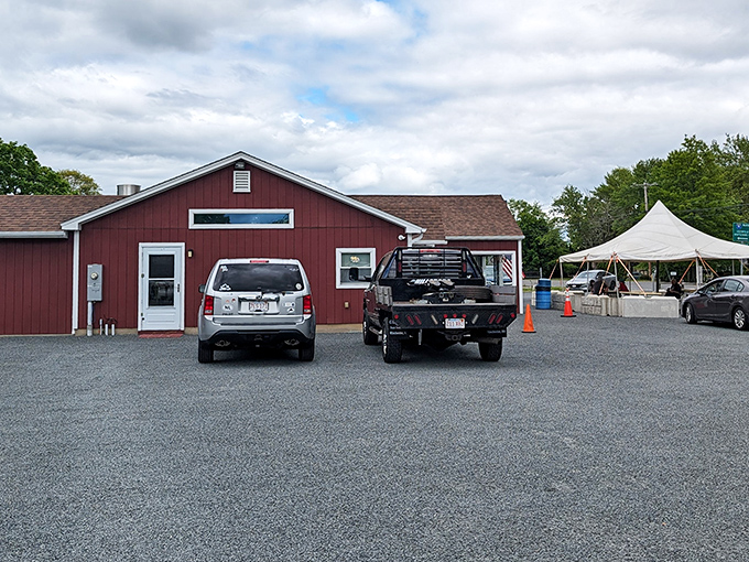 That classic red barn architecture promises simple pleasures: hot dogs, fresh air, and memories in the making.