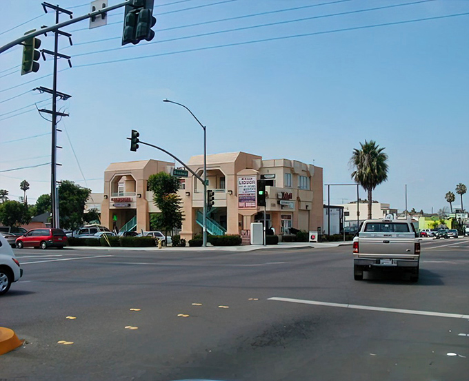 Pastel-colored buildings dot Chula Vista's business district, where Social Security checks stretch further than your grandmother's famous lasagna recipe.
