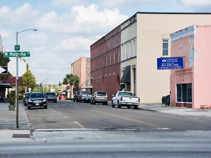 West Magnolia Street captures Arcadia's small-town charm with its historic brick buildings and unhurried pace. A slice of old Florida preserved in time.