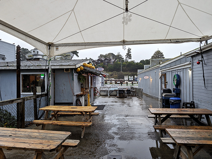 That cheerful little shack with the buoys and "OPEN" sign is your gateway to deep-fried cheesecake paradise.