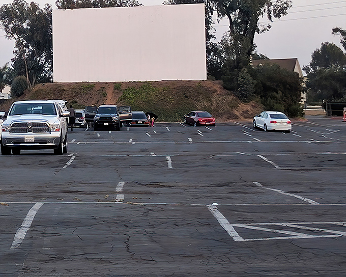 The iconic white screen of South Bay Drive-In stands ready for dusk, when movie magic transforms this simple structure into a portal to other worlds.