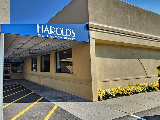 The unassuming exterior of Harold's New York Deli &ndash; where sandwich dreams come true and portion control goes to die.