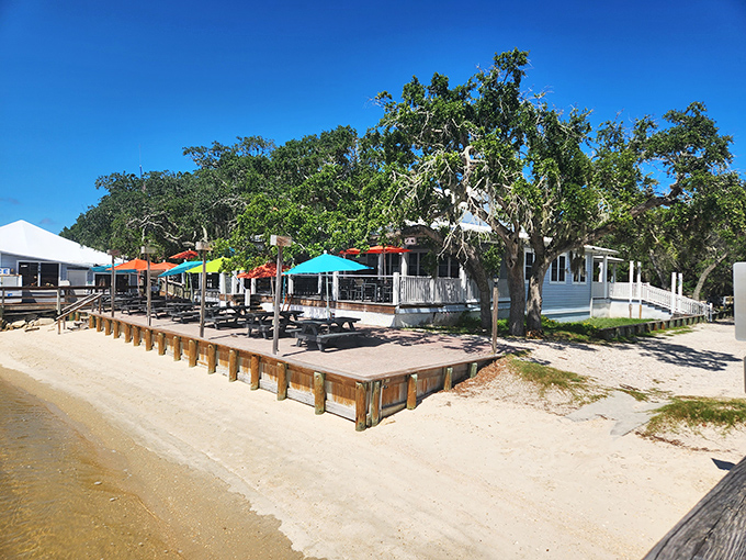 Colorful umbrellas dot the waterfront deck like tropical birds perched for the perfect sunset view. Florida dining doesn't get more authentic than this.