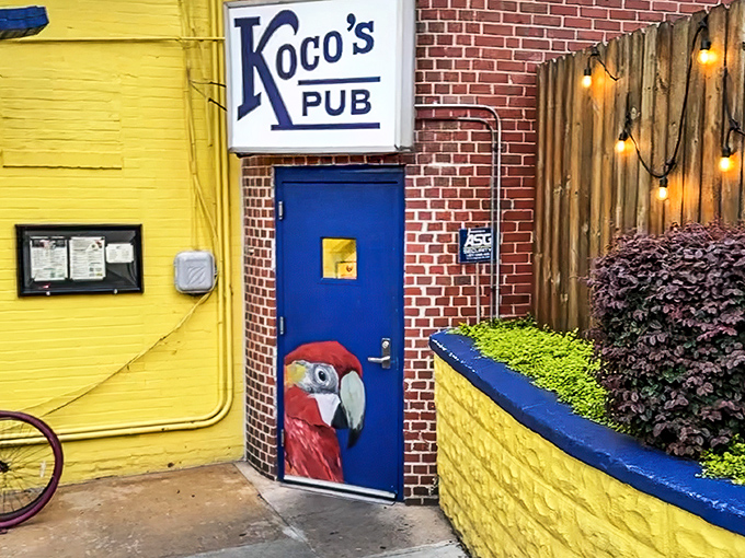 The bright yellow wall and blue door with a parrot painting aren't subtle hints – this place knows flavor doesn't need to whisper.