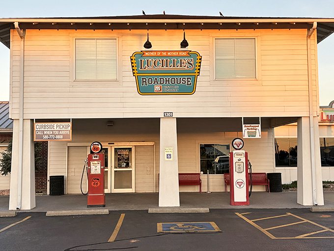Route 66 nostalgia comes alive at Lucille's Roadhouse, where vintage Phillips 66 signage and classic gas pumps transport you to America's golden age of roadside dining.