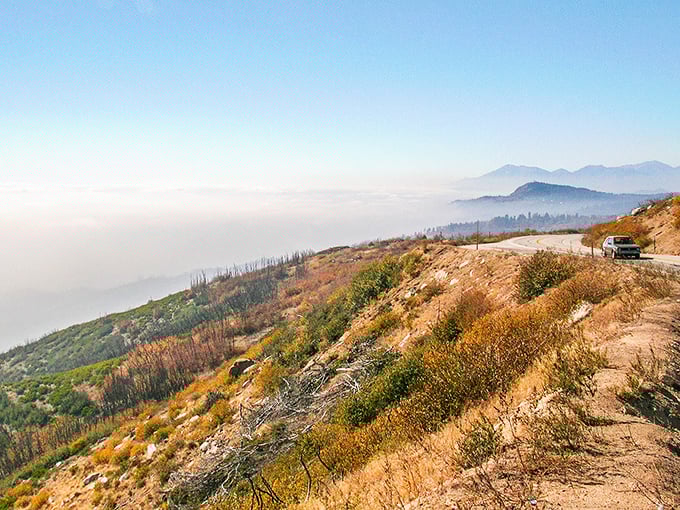 Where the road meets the sky: California's golden hills roll beneath you like nature's own stress-relief therapy.