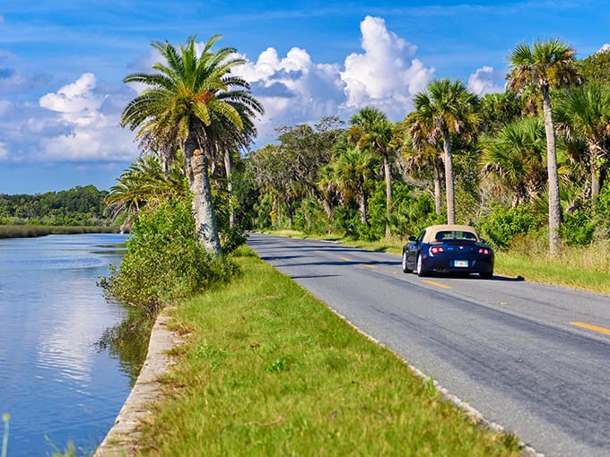 A sleek sports car cruises along the water-hugging roadway, where royal palms and blue skies create the quintessential Florida postcard moment. Road trip perfection!