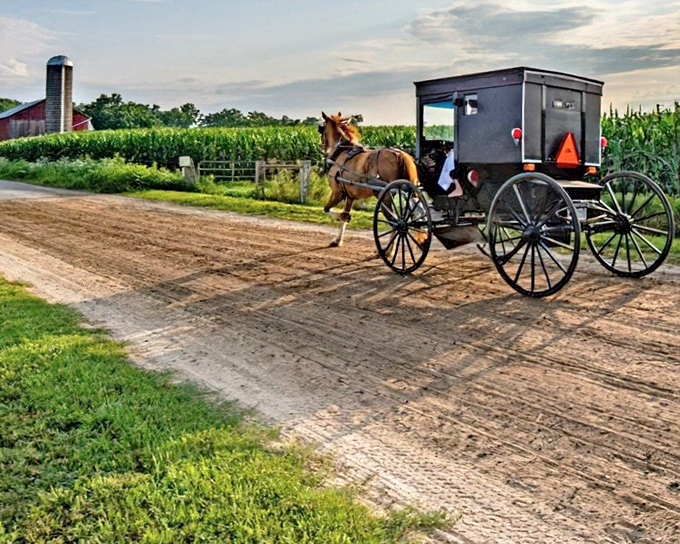 When your morning commute involves hoofbeats instead of honking, you know you've found somewhere special in Indiana's countryside.