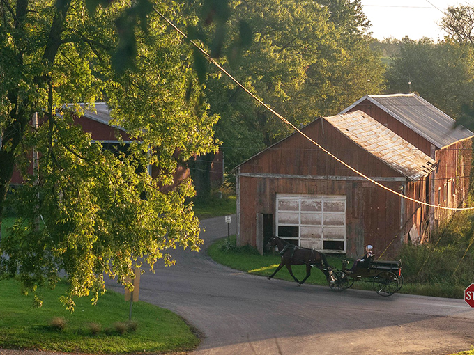 Golden hour in Amish Country paints wooden barns and horse-drawn buggies with the kind of light Instagram filters try desperately to replicate.