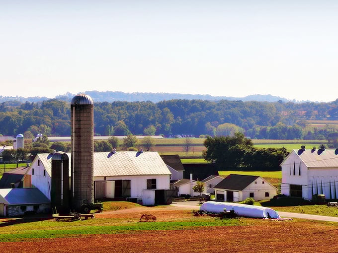 Classic Amish farmland stretches toward the horizon, where white barns and towering silos stand as monuments to agricultural tradition.