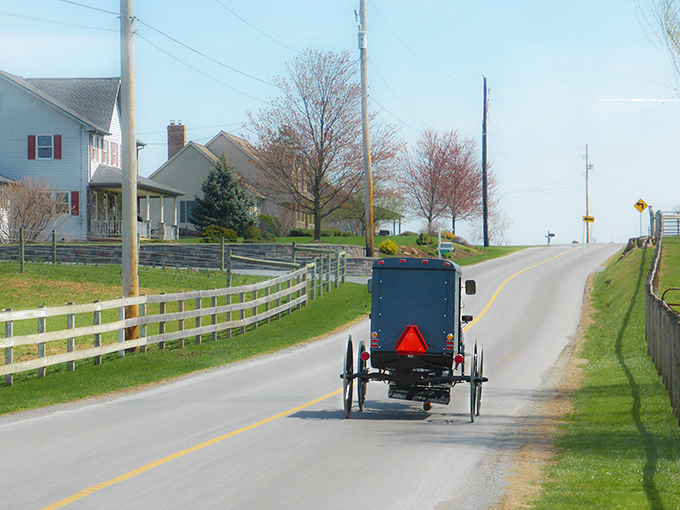 Where the only rush hour involves waiting for a horse to cross the road peacefully.