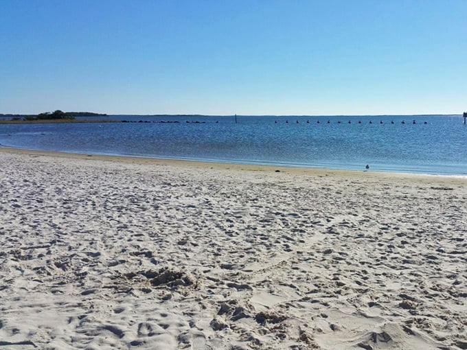 Where the Gulf of Mexico meets unspoiled shoreline, Fort Island Beach offers that increasingly rare Florida experience&mdash;serenity without the souvenir shops.