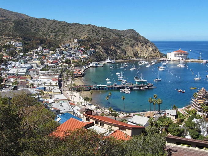 Avalon's horseshoe harbor unfolds like a Mediterranean daydream, with hillside homes cascading toward impossibly blue waters that make Monday meetings seem a universe away.