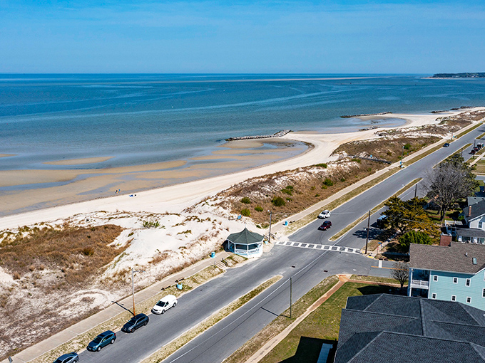The Chesapeake Bay stretches out like nature's welcome mat, with shallow waters perfect for wading and contemplating life's bigger questions.