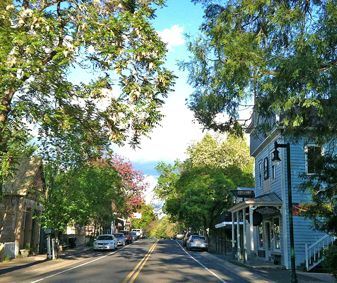 Tree-lined streets and historic buildings create the kind of small-town charm that makes you forget your Wi-Fi password exists.