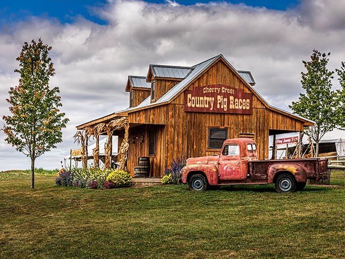 Country charm meets rustic nostalgia at the Country Pig Races barn. That vintage red pickup isn't going anywhere, but your stress sure will.
