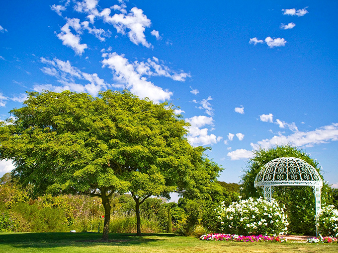 Nature's perfect composition: a majestic tree provides shade while the gazebo basks in California sunshine, surrounded by carefully curated blooms that seem to bow in appreciation.