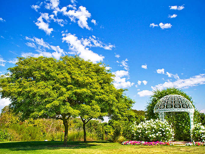 The iconic white gazebo stands like a wedding cake centerpiece amid vibrant blooms, proving that sometimes reality outshines even the most romantic Pinterest boards.