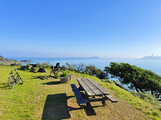 A picnic table with a view that makes your work emails seem like a distant nightmare. Nature's therapy session with San Francisco skyline included.