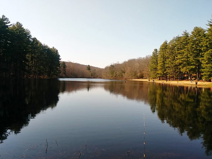 Mirror, mirror on the pond&mdash;Chatfield Hollow's glassy waters reflect towering pines like nature's own Instagram filter. Connecticut serenity at its finest.