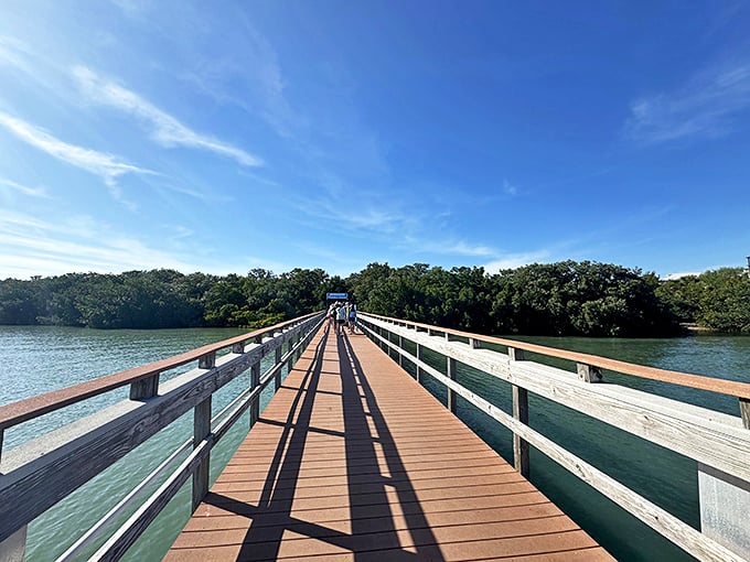 The wooden boardwalk stretches toward paradise, inviting you to leave your worries on the mainland. Florida's natural side awaits.