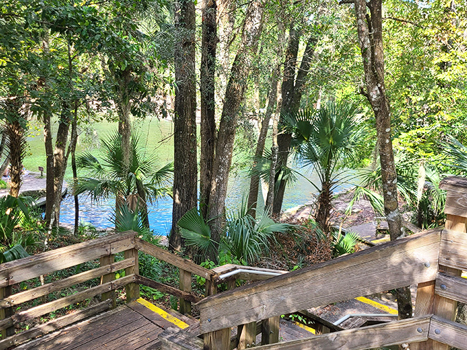 Where the trees bow gracefully to greet the emerald waters, creating nature's perfect welcome committee.