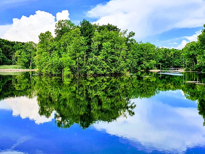 Maybury's serene pond mirrors the vibrant summer canopy, creating nature's perfect reflection therapy for stressed-out souls.