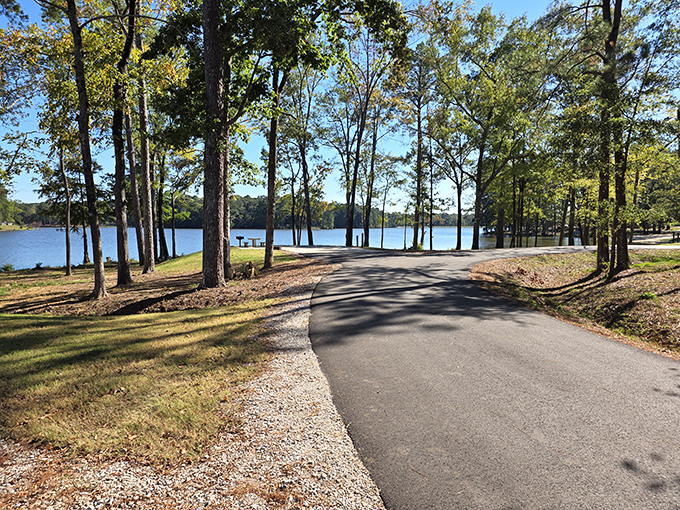 The winding road through Roosevelt State Park promises adventure around every sun-dappled curve.
