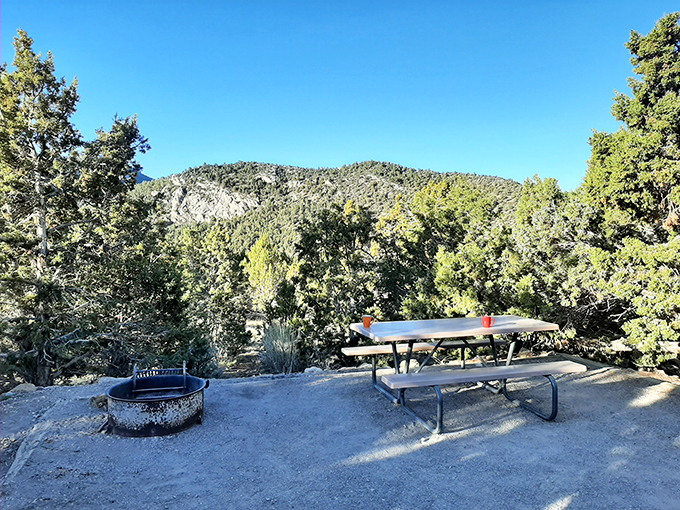 A campsite straight out of a wilderness fantasy &ndash; fire pit, picnic table, and mountains that make your office cubicle seem like a distant nightmare.