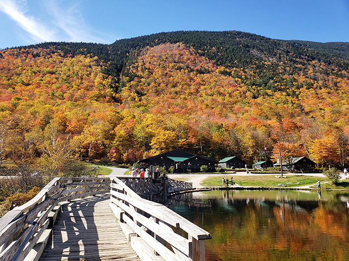 Fall foliage creates nature's most spectacular light show, turning Crawford Notch into a painter's palette of reds, oranges, and golds.