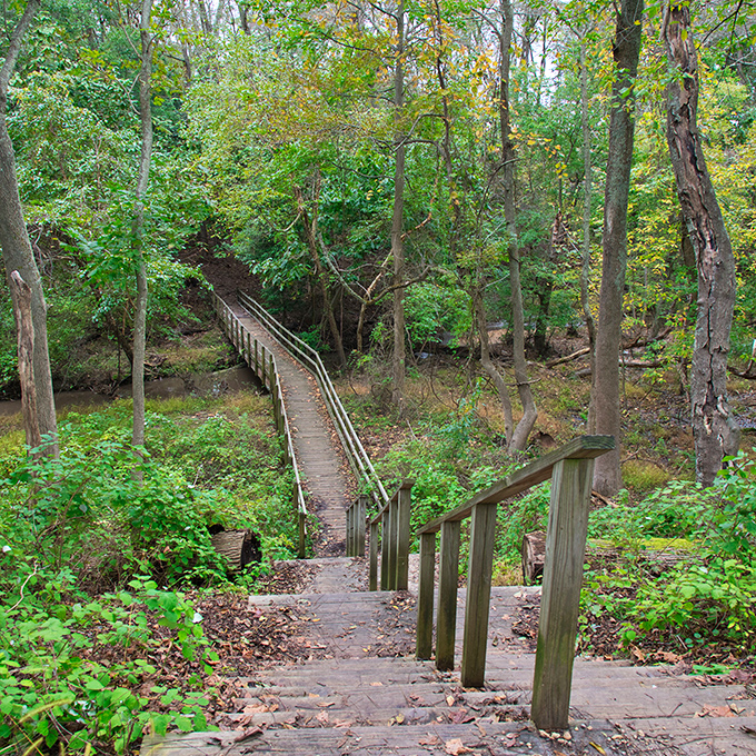 Nature's own stress-relief therapy comes in the form of wooden footbridges crossing gentle streams. No co-pay required.