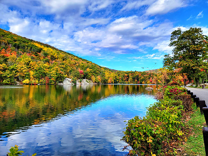 Mother Nature showing off her reflection game at Hessian Lake. The fall foliage creates a perfect mirror image that even the most expensive Instagram filter couldn't improve.