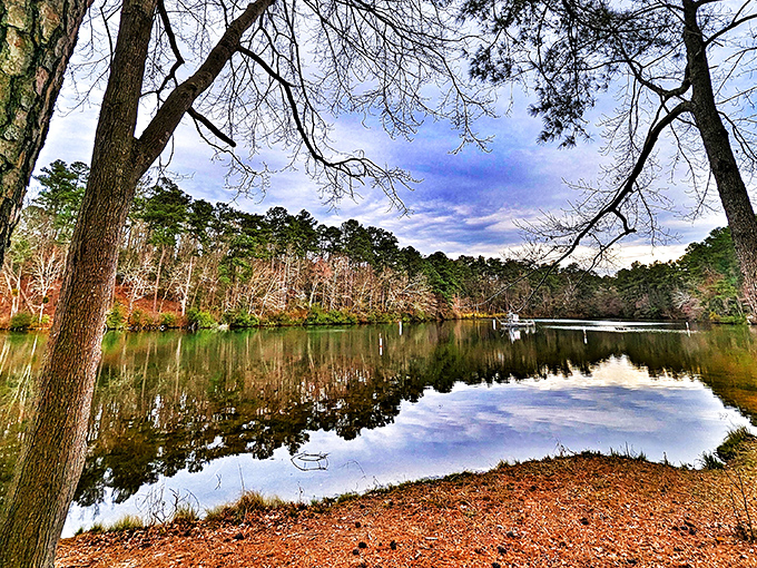 Fall transforms the park into nature's art gallery, with autumn colors creating perfect mirror images on the still waters.