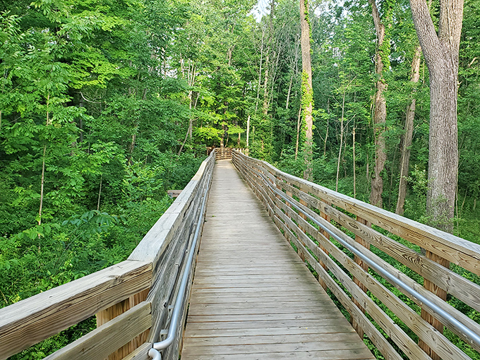 Nature's invitation stretches before you on this elevated boardwalk, where every step feels like walking through the pages of a Thoreau essay.