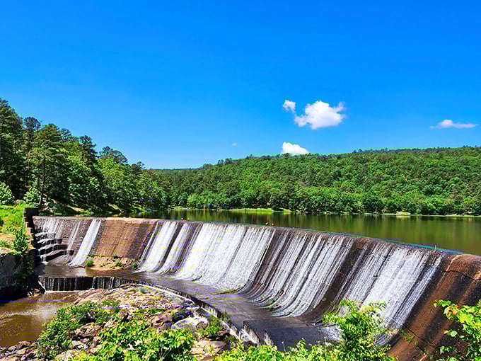 The Lake Carlton dam creates a scene straight out of a Bob Ross painting&mdash;"happy little trees" included, no artistic license required.