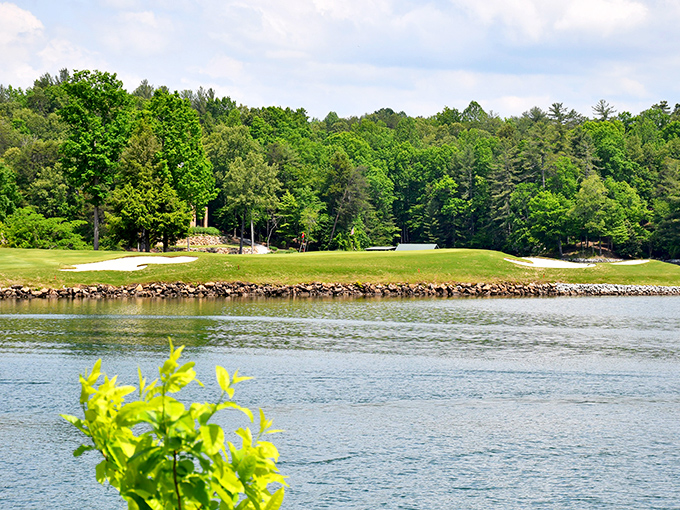 Golf course meets wilderness at the lake's edge. Mother Nature designed this green with water hazards that even Tiger Woods would respect.