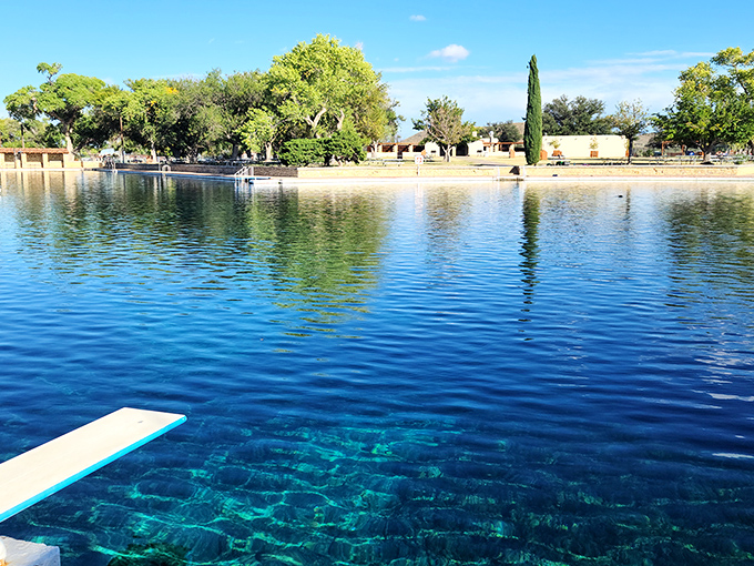 Crystal-clear spring water flows like nature's own highway system through this desert paradise.