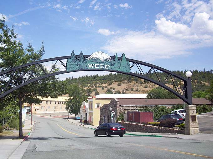 The iconic Weed arch welcomes visitors with a wink and a nod. Mount Shasta's silhouette creates the perfect backdrop for your obligatory "I visited Weed" photo.