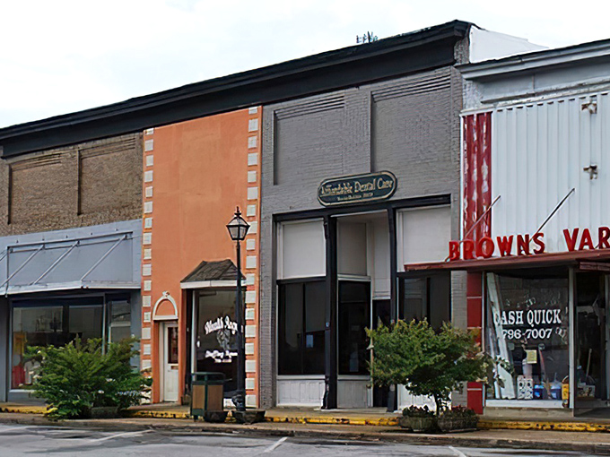 Downtown Hohenwald offers that quintessential small-town charm where the pace slows down and conversations with strangers become the highlight of your day.